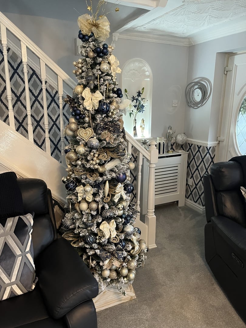 Christmas Tree Competition | Christmas Tree World