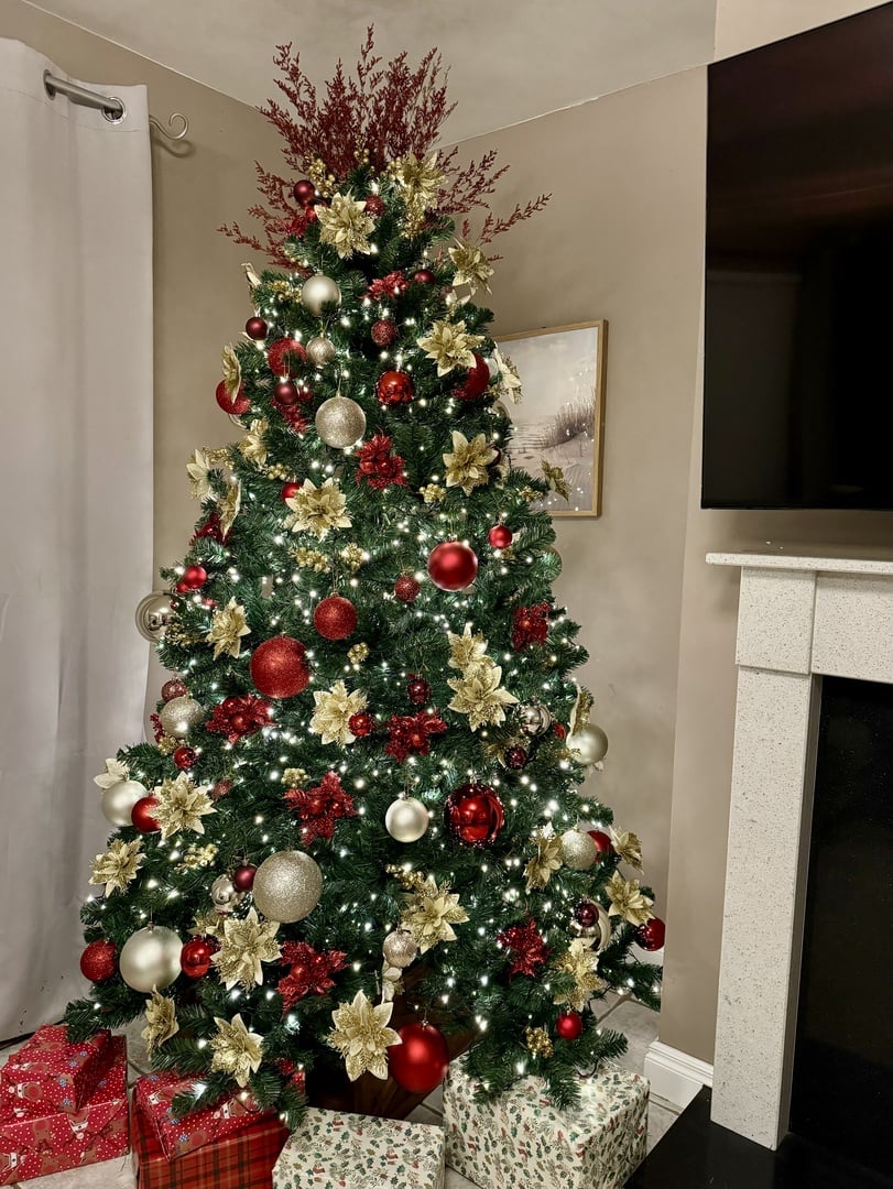 Christmas Tree Competition | Christmas Tree World