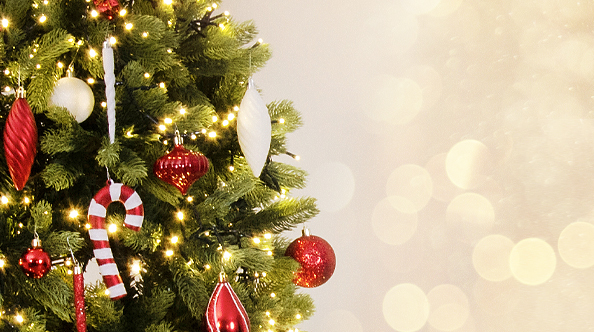 The UK's #1 Christmas Tree Shop | Christmas Tree World