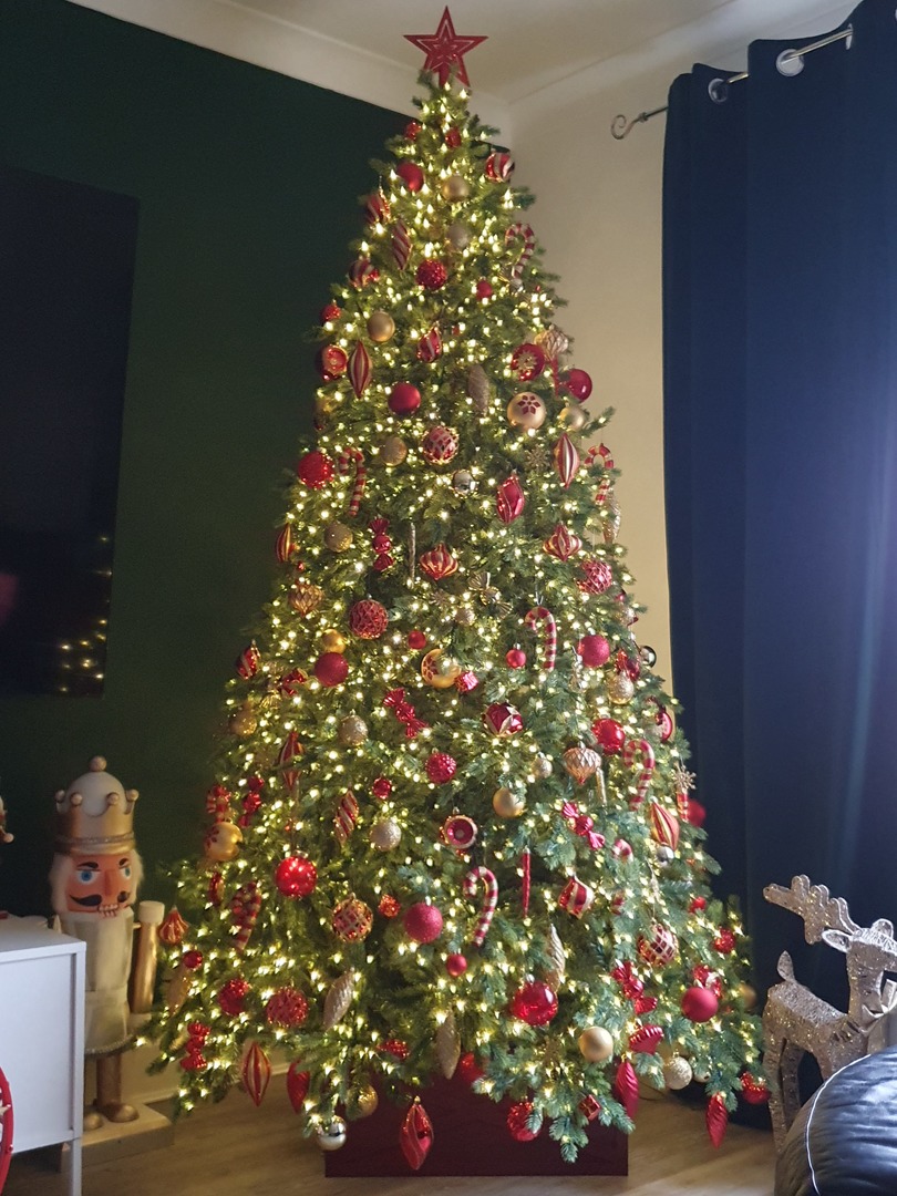 Christmas Tree Competition | Christmas Tree World